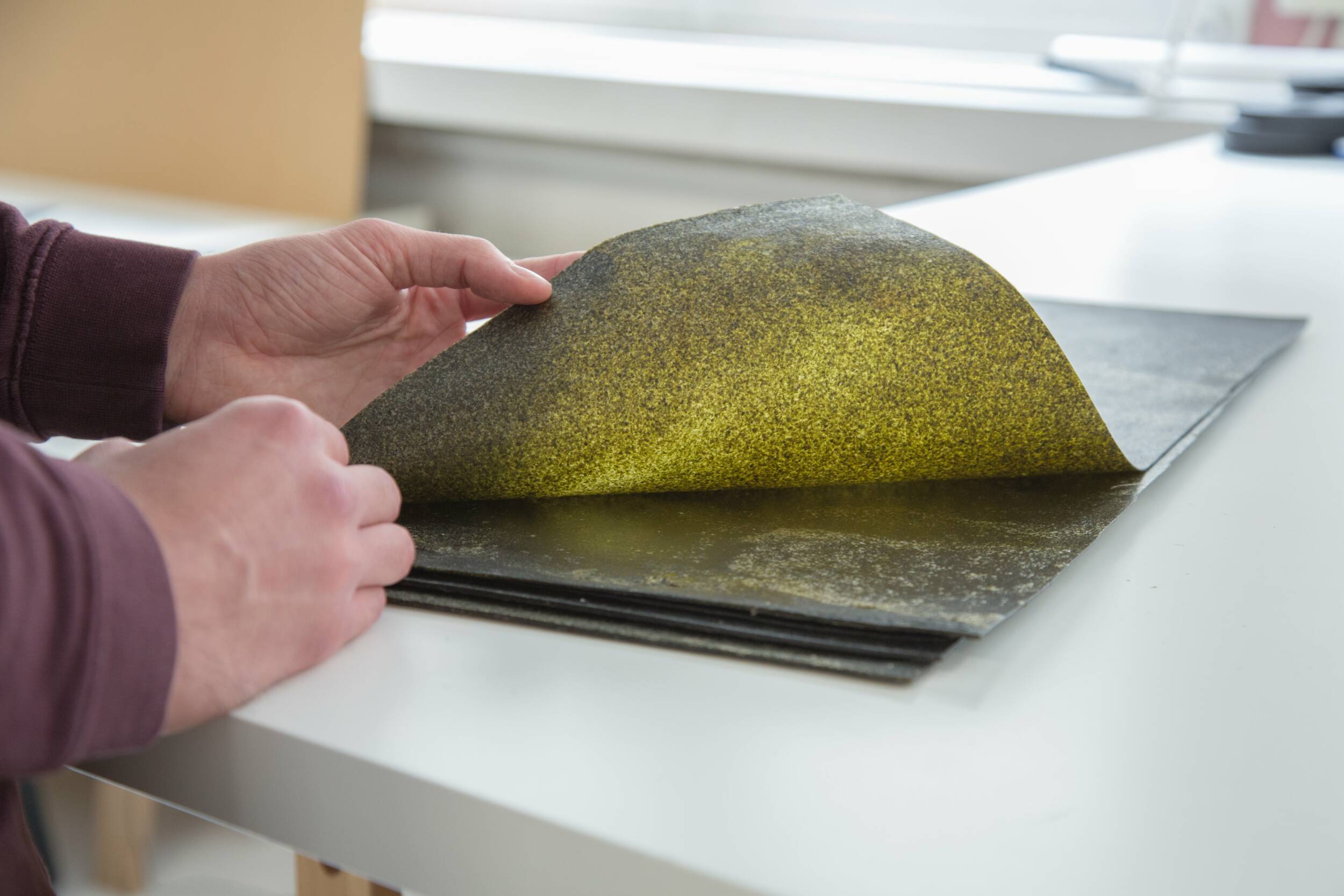 Samuel Tomatis — BDMMA