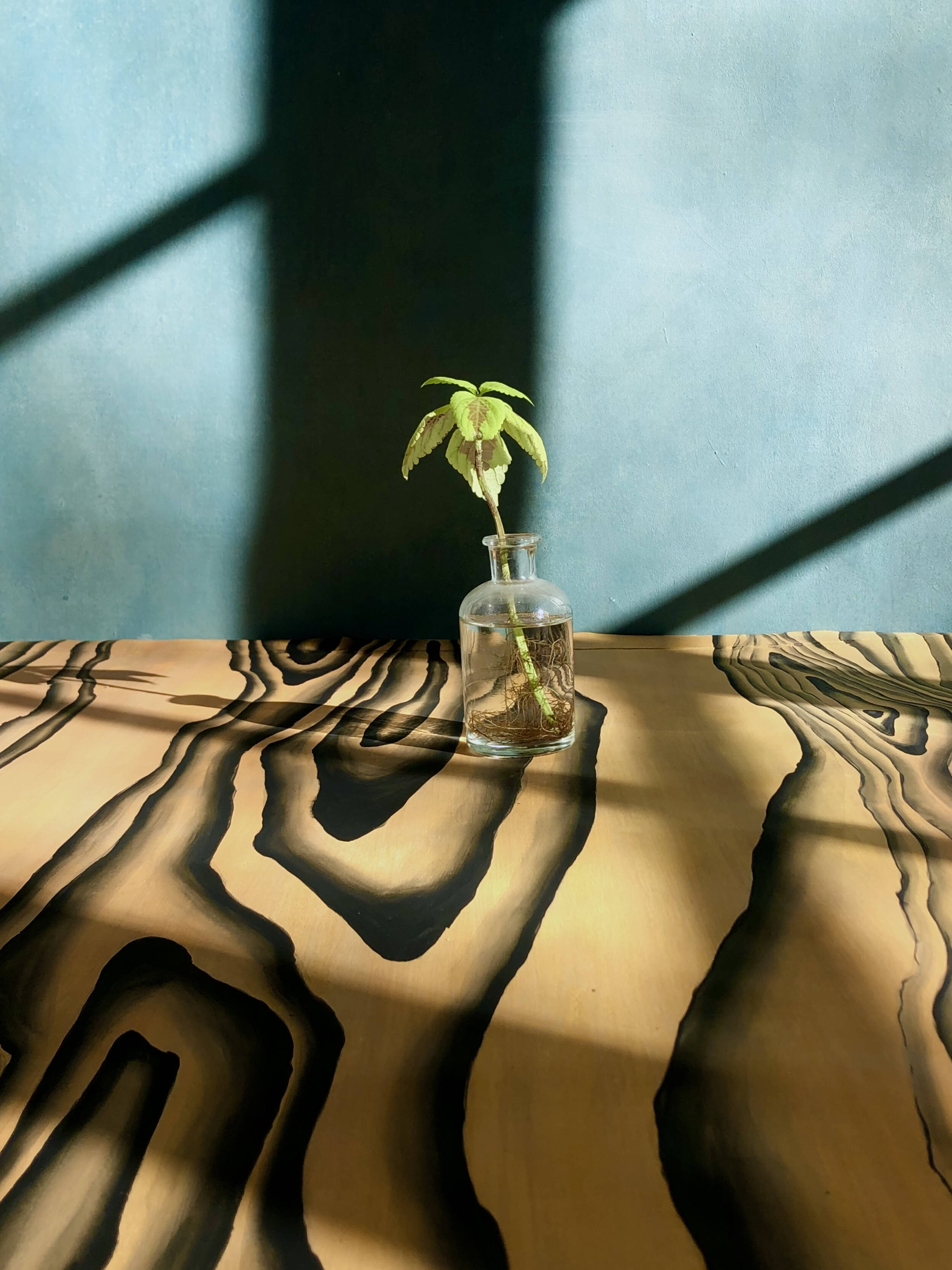 Portrait de résidente - Mayeul Gauvin — BDMMA